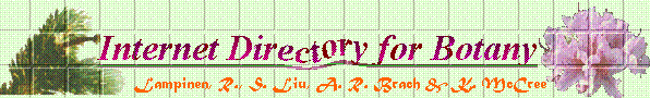 Internet Directory For Botany Vascular Plant Families
